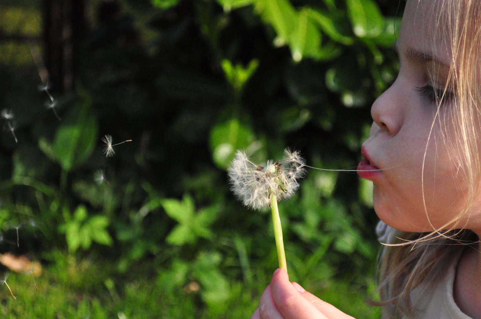 Help Your Kids Combat Spring Allergies | The Gardner School