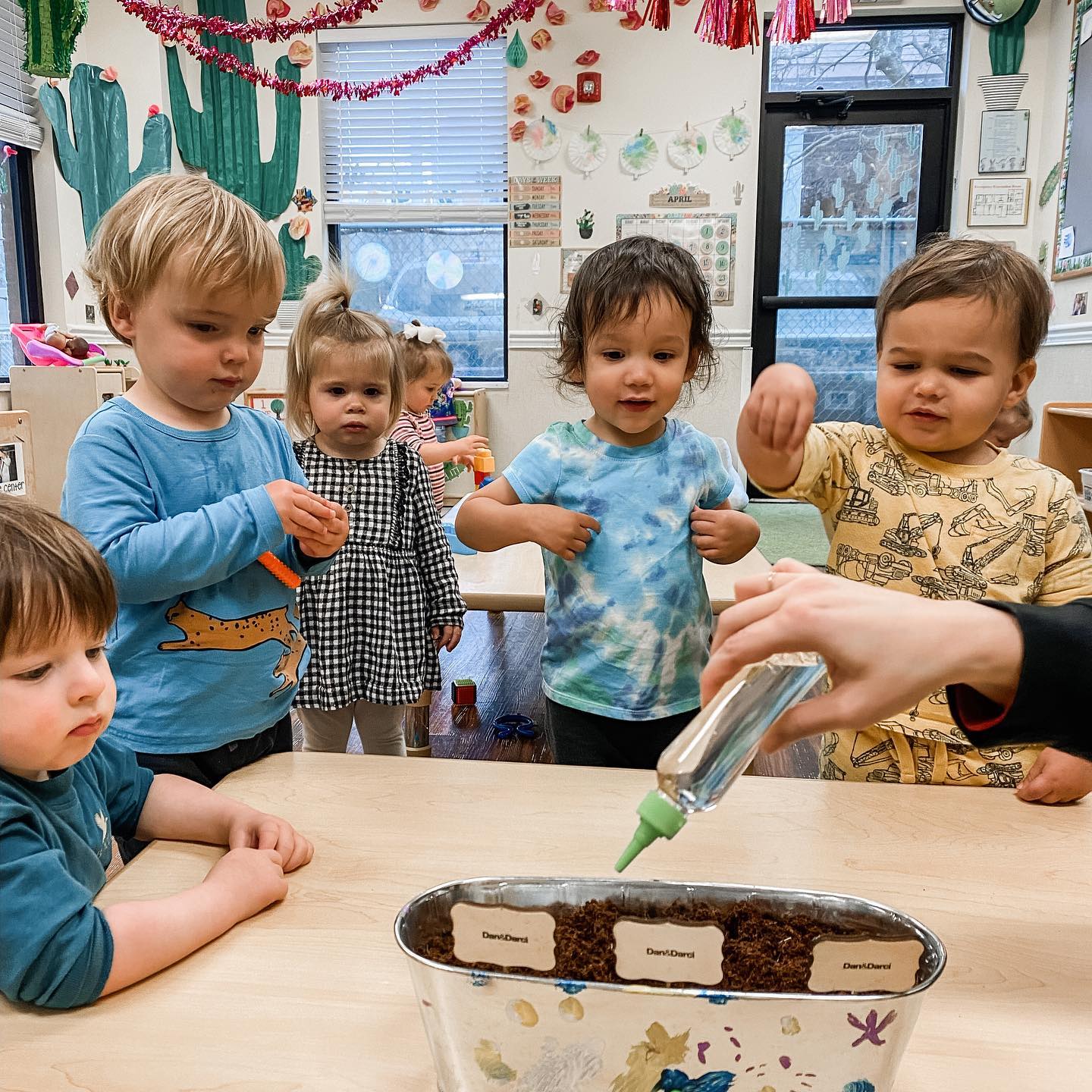 How TGS Celebrated Week of the Young Child - The Gardner School